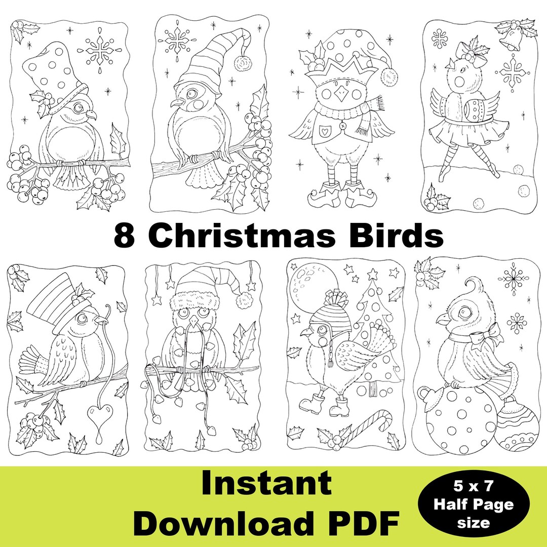 Christmas Birds Coloring Pages, PDF, 8 Designs, Digital, Print and ...