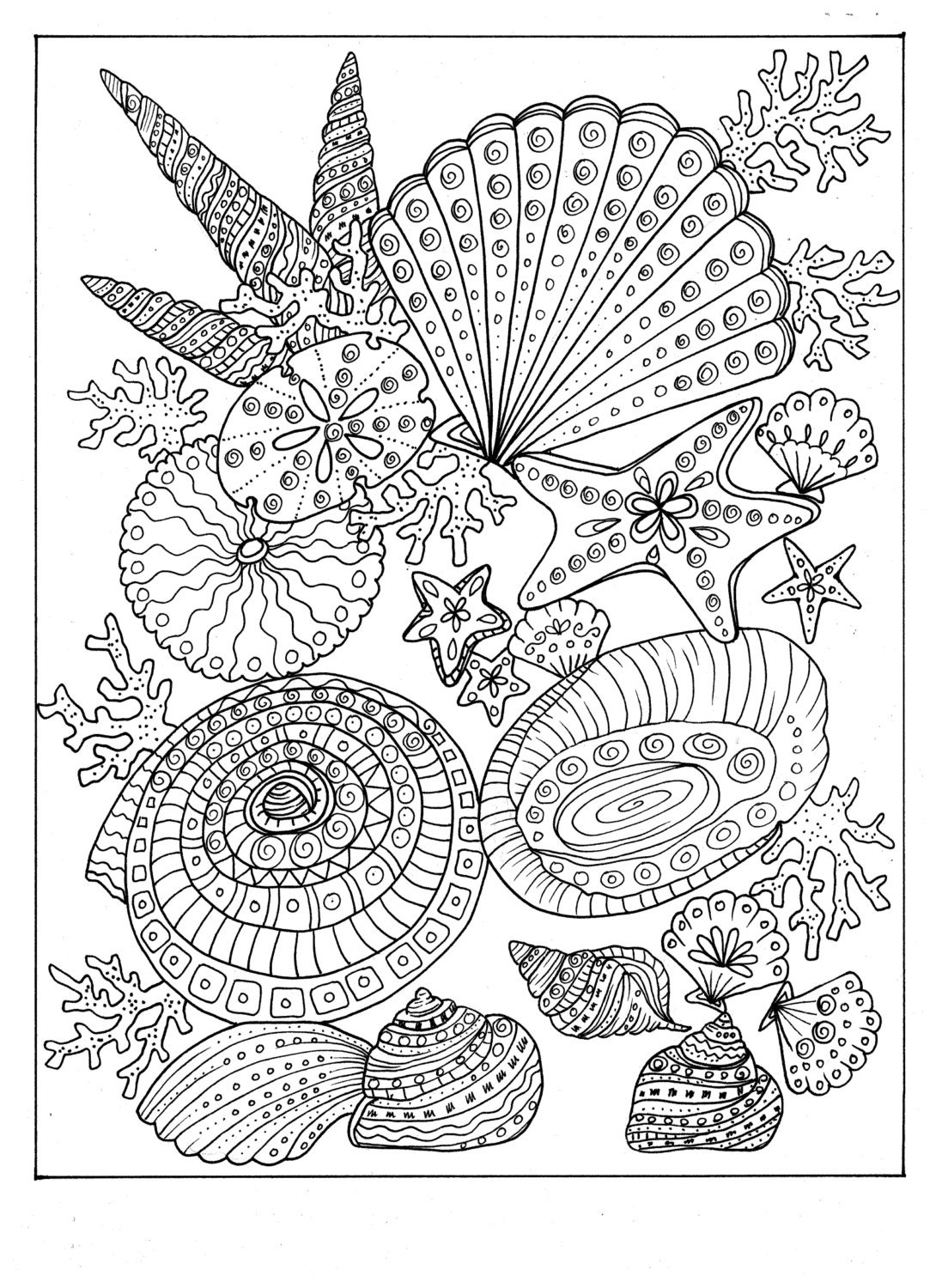 5 Pages of Shells to Color Digital Instant Download Coloring | Etsy Canada