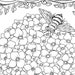 Busy Little BEES PDF Pages to Color. Instant Download, Flowers and Bees ...