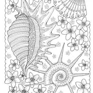 5 Pages of Shells to Color Digital Instant Download Coloring Adult ...