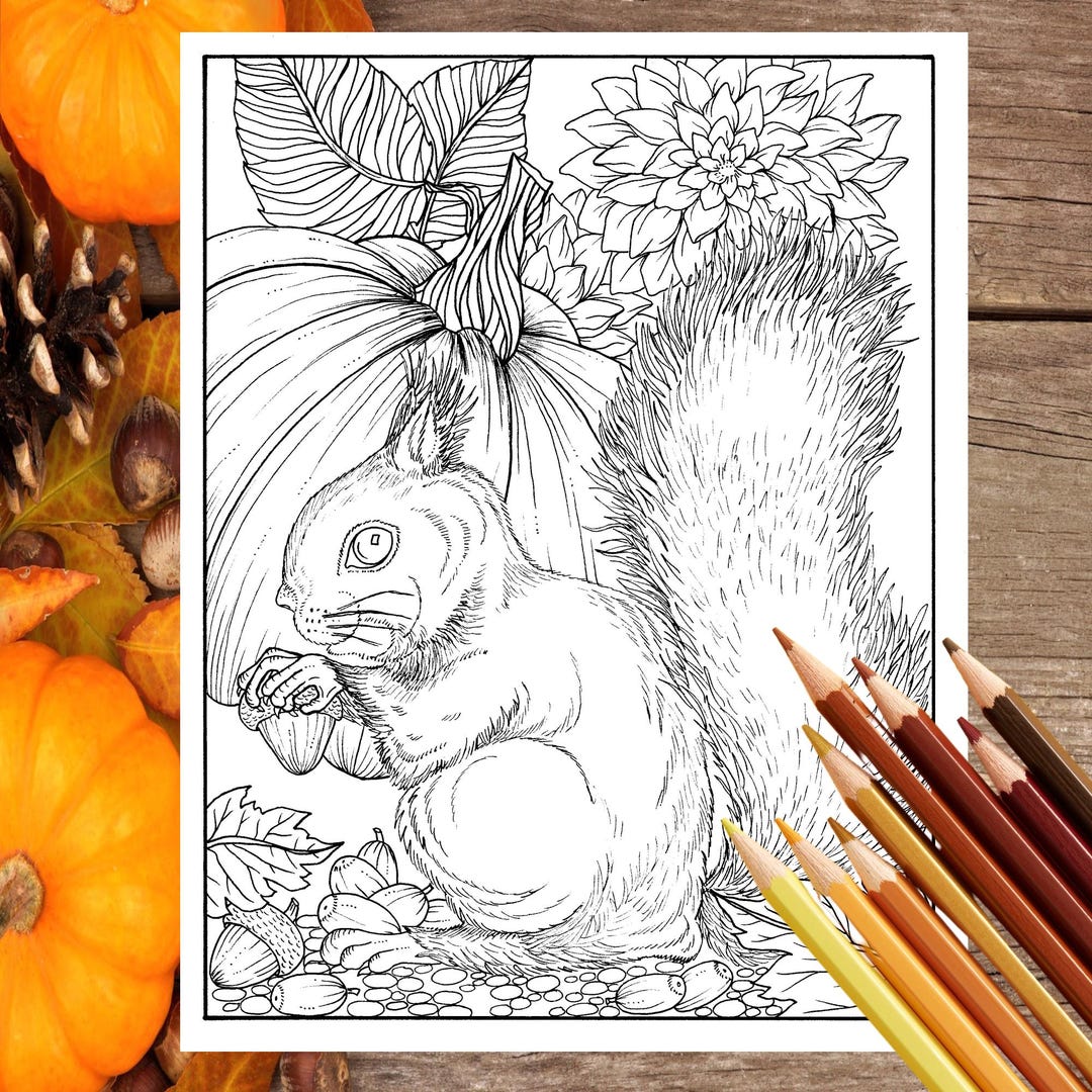 Fall Squirrel Digital Coloring Page Digi Stamp, Thanksgiving, Adult ...