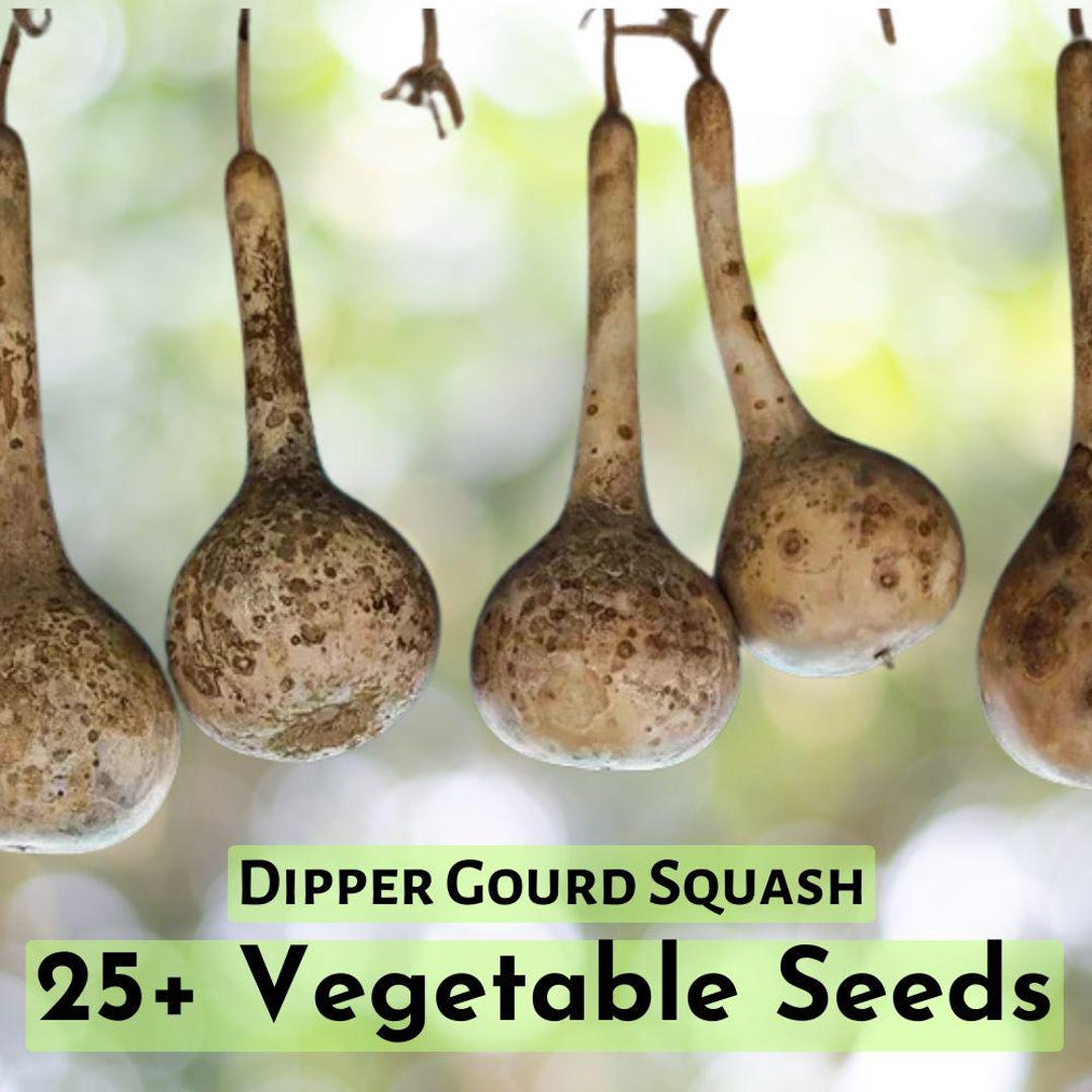 25+ Dipper Gourd Seeds | Grow Your Own Unique Long-handled Gourds at ...