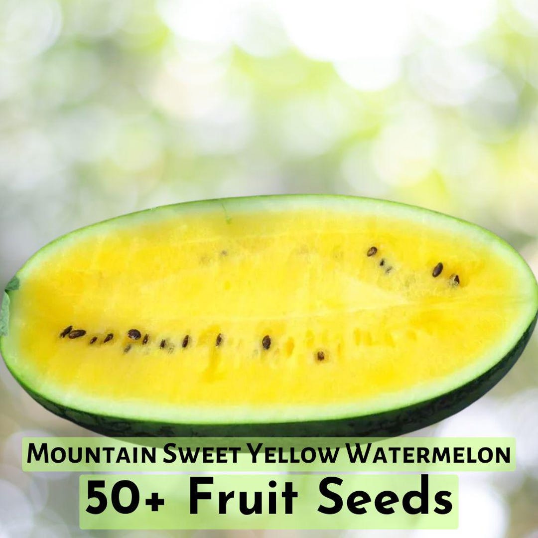 50+ Mountain Sweet Yellow Watermelon Seeds | Sweet Golden Flesh ...