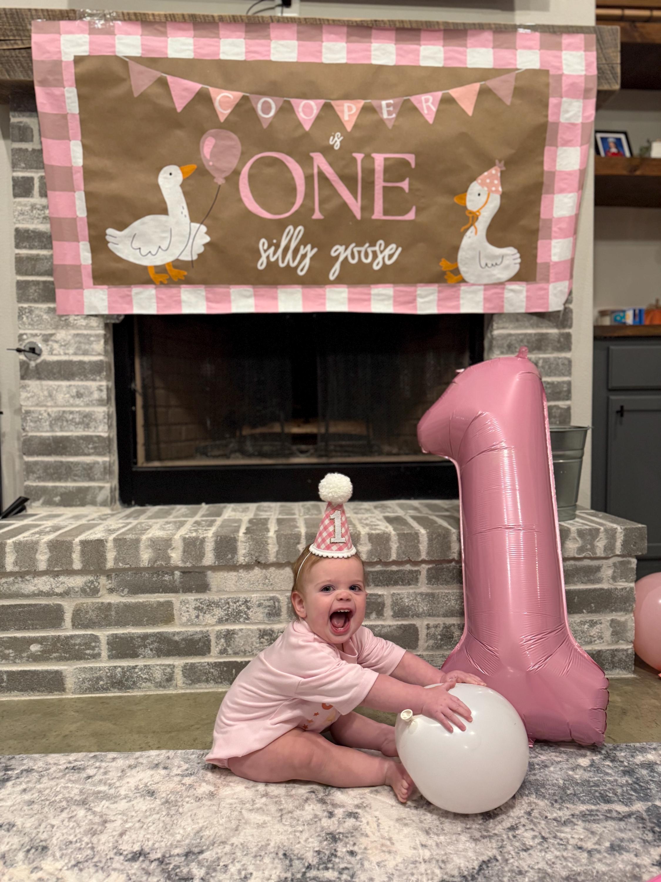 One Silly Goose Hand- Painted Banner - Etsy