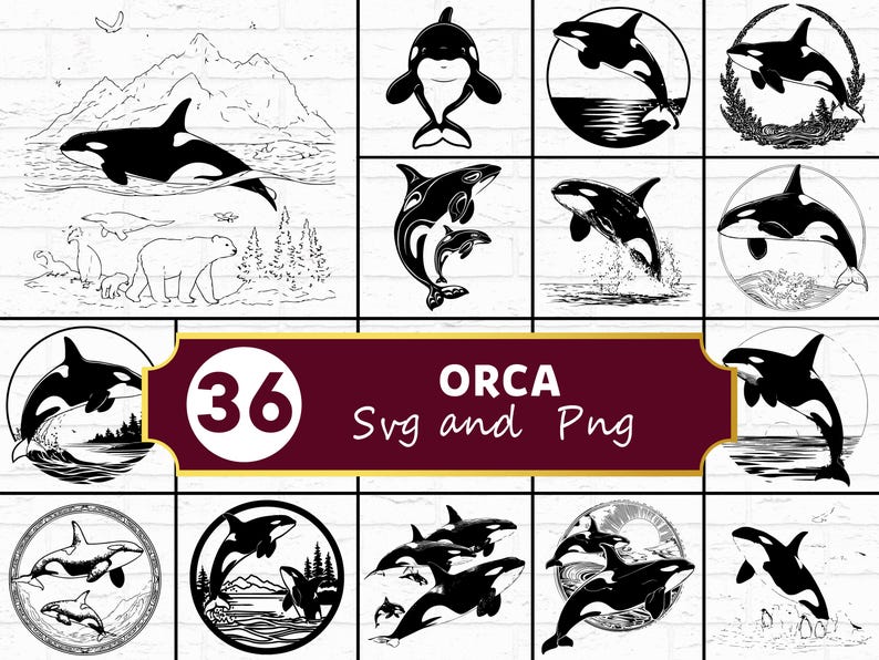 Orca SVG Bundle, Killer Whale Silhouette PNG, Sea Life Clipart, Ocean ...