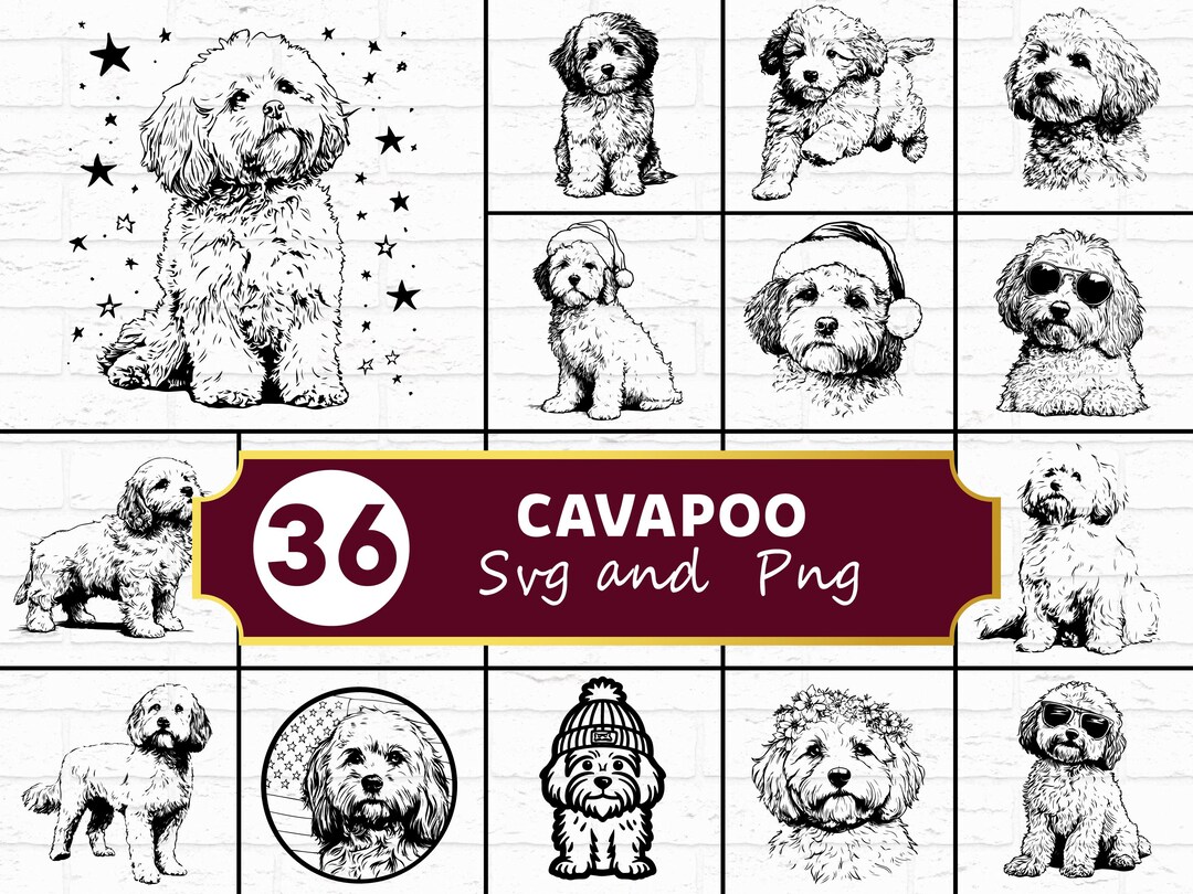 Cavapoo SVG PNG Bundle, Dog Silhouette Clipart, Puppy Pet Cricut Files ...