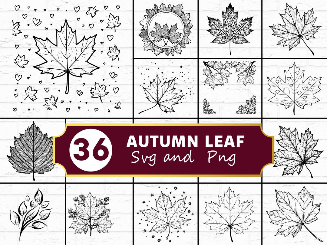Autumn Leaf Silhouette SVG Bundle | Fall Leaves SVG PNG Clipart for ...