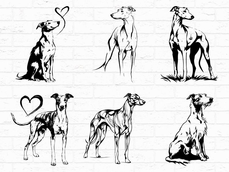 Lurcher Dog SVG Bundle, Sighthound Silhouette PNG, Rescue Pet Clipart ...