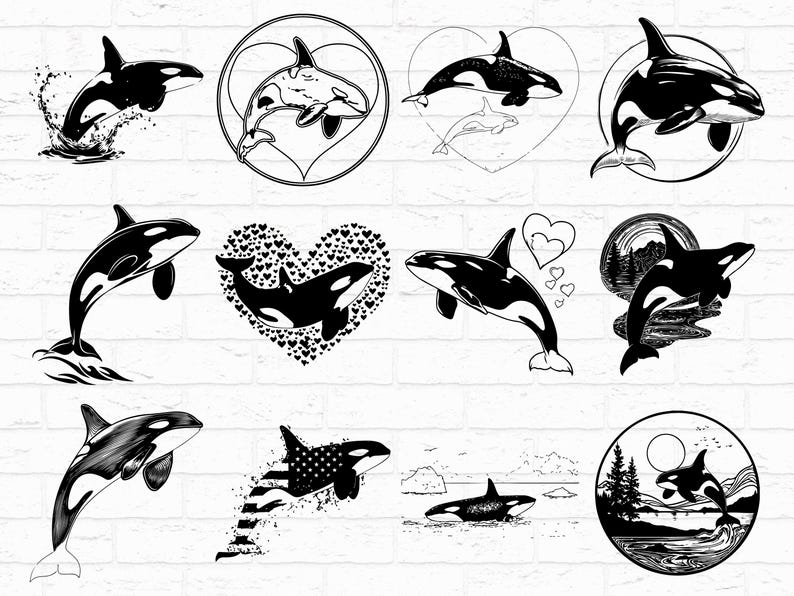Orca SVG Bundle, Killer Whale Silhouette PNG, Sea Life Clipart, Ocean ...