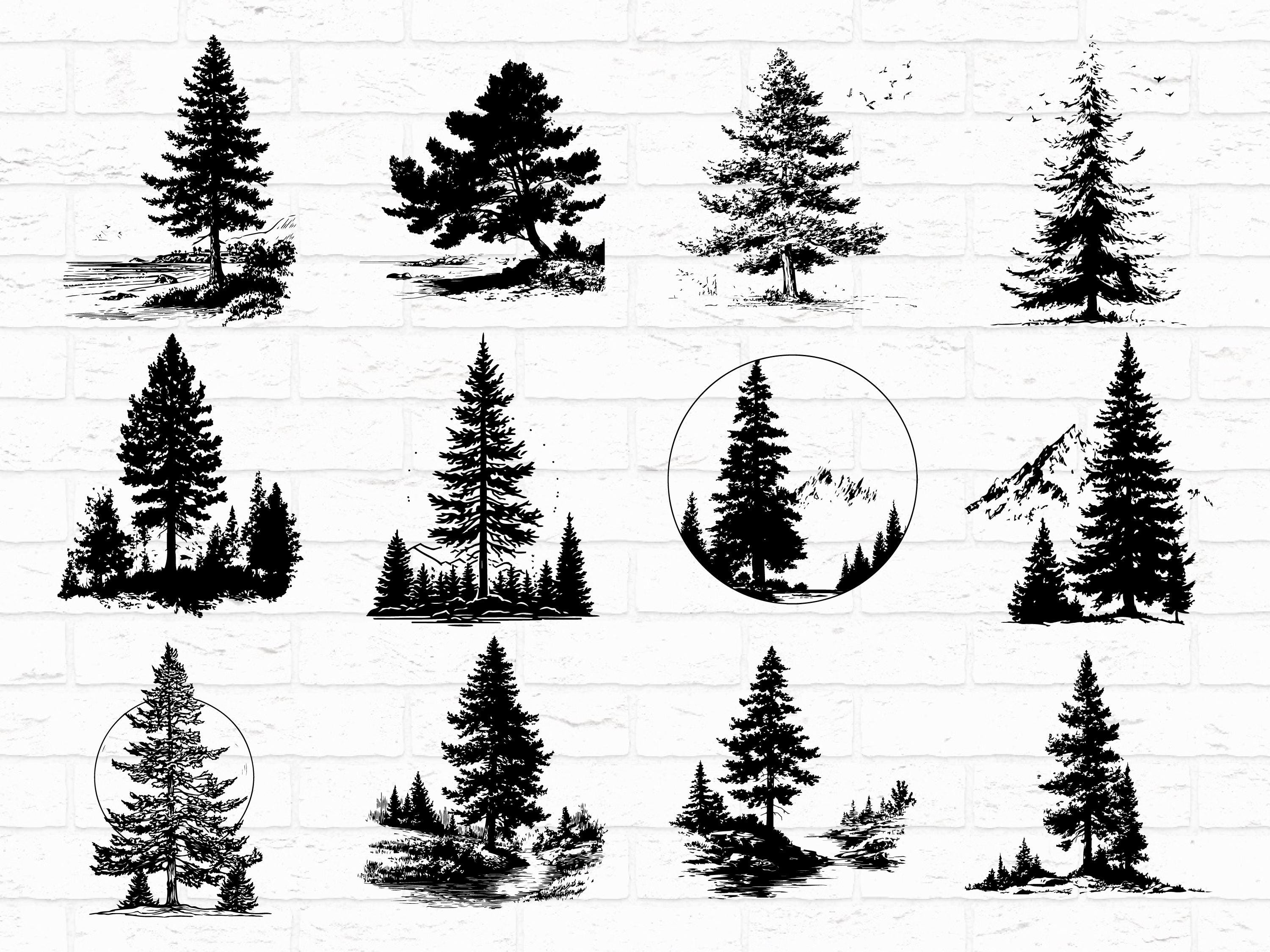 Pine Tree SVG PNG Bundle, Evergreen Forest Silhouette Clipart, Outdoor ...