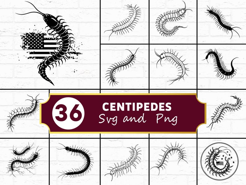 Centipedes SVG PNG Bundle, Insect Silhouette Clipart, Creepy Bug Cricut ...