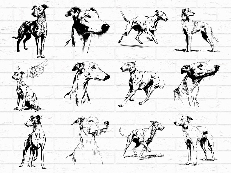 Lurcher Dog SVG Bundle, Sighthound Silhouette PNG, Rescue Pet Clipart ...