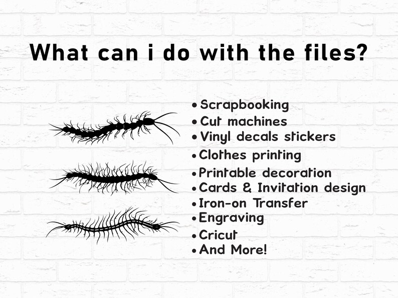 Centipedes SVG PNG Bundle, Insect Silhouette Clipart, Creepy Bug Cricut ...
