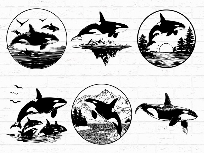 Orca SVG Bundle, Killer Whale Silhouette PNG, Sea Life Clipart, Ocean ...