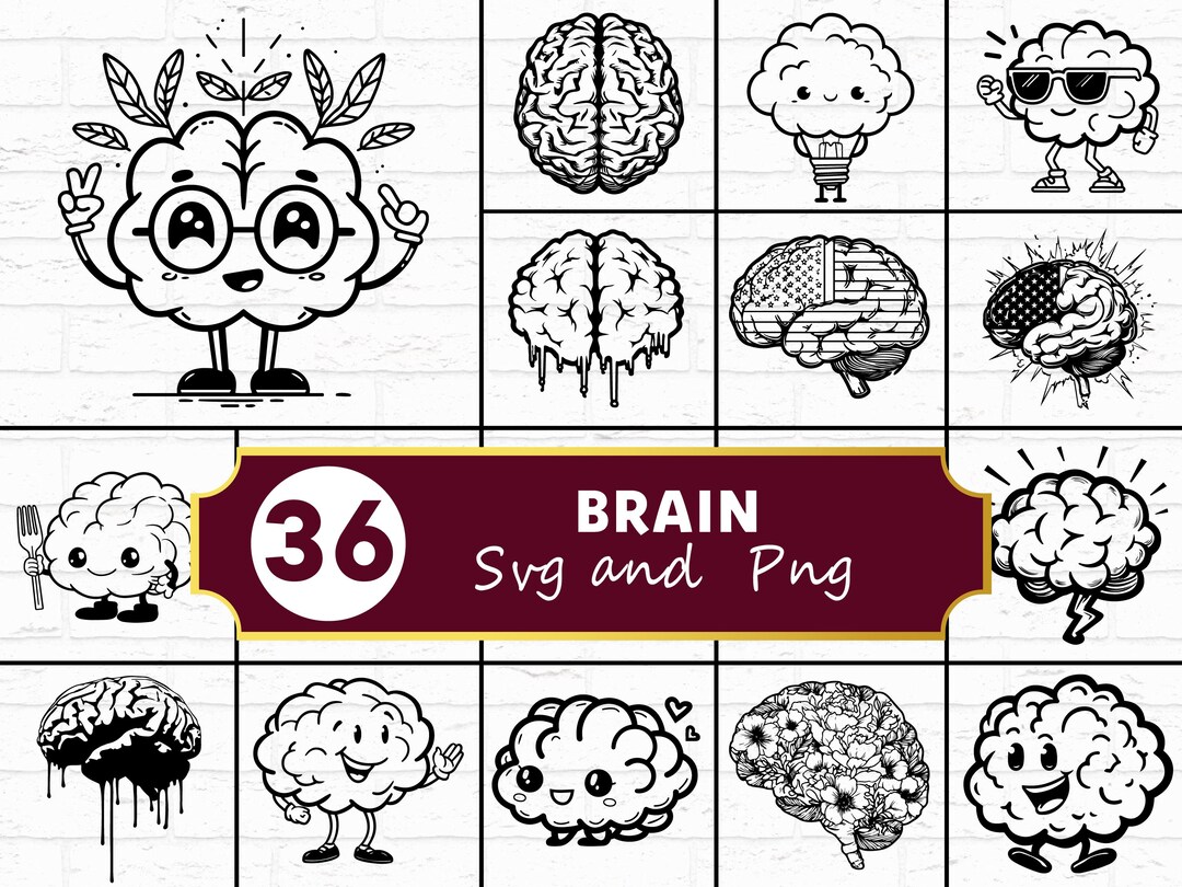 Brain SVG PNG Bundle, Human Anatomy Silhouette Clipart, Science Cricut ...