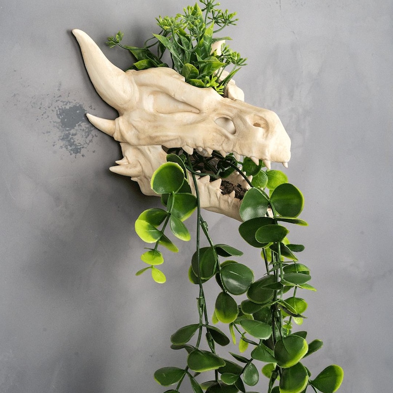 Dnd Plant Decor - Etsy