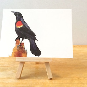 Red Winged Blackbird Print, Wildlife Illustration, Digital Bird Drawing ...