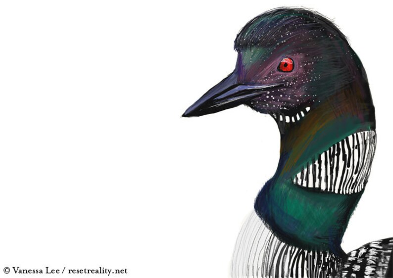 Common Loon Art Print, Wildlife Illustration, Digital Bird Drawing ...