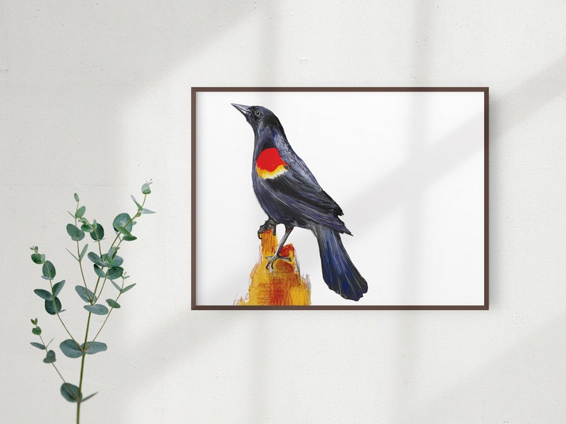 Red Winged Blackbird Print, Wildlife Illustration, Digital Bird Drawing ...