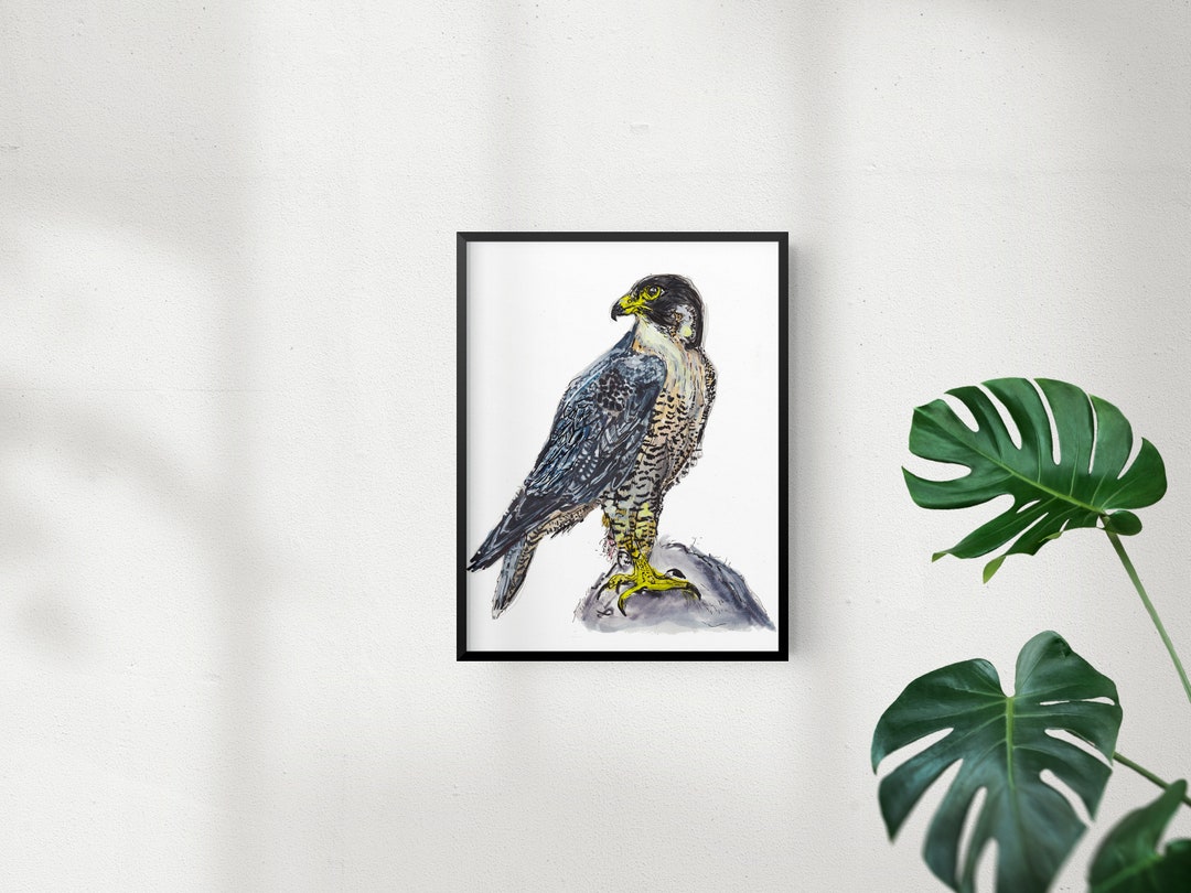 Peregrine Falcon Art Print Falcon Illustration Digital Bird - Etsy