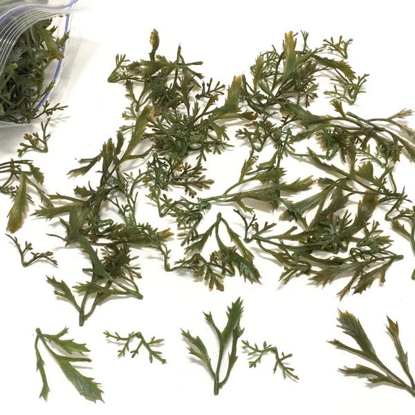 Plastic Greenery - Etsy