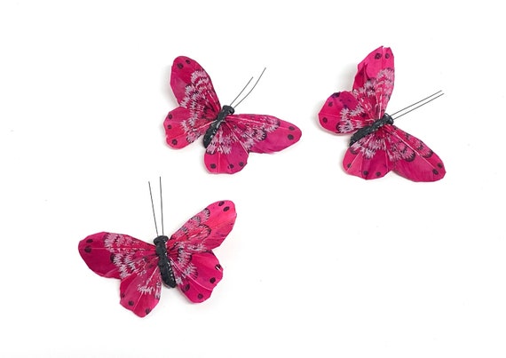Magenta Butterfly