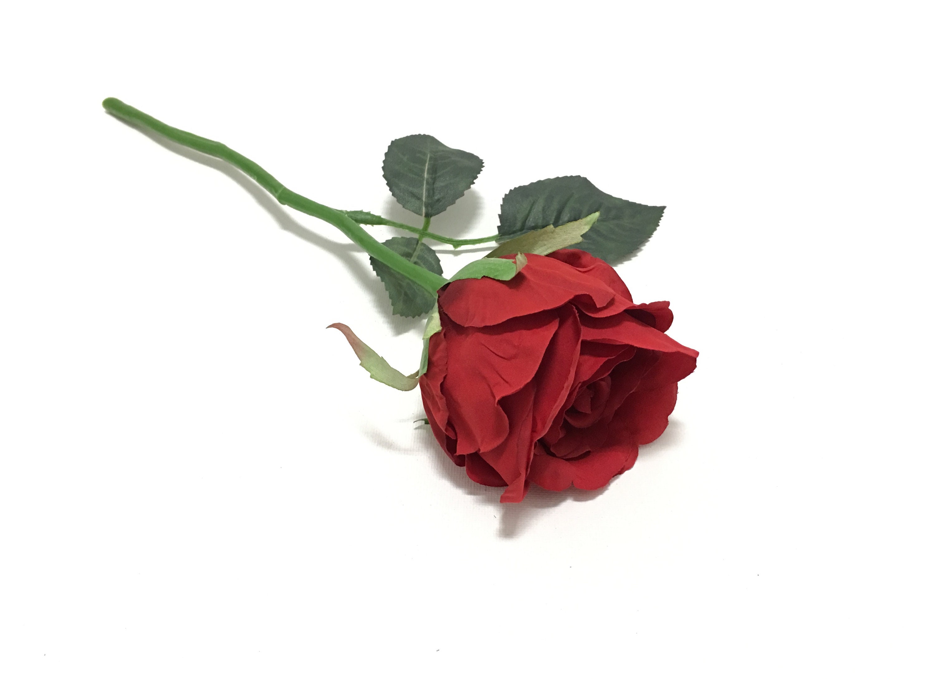 Single Red Rose With Stem