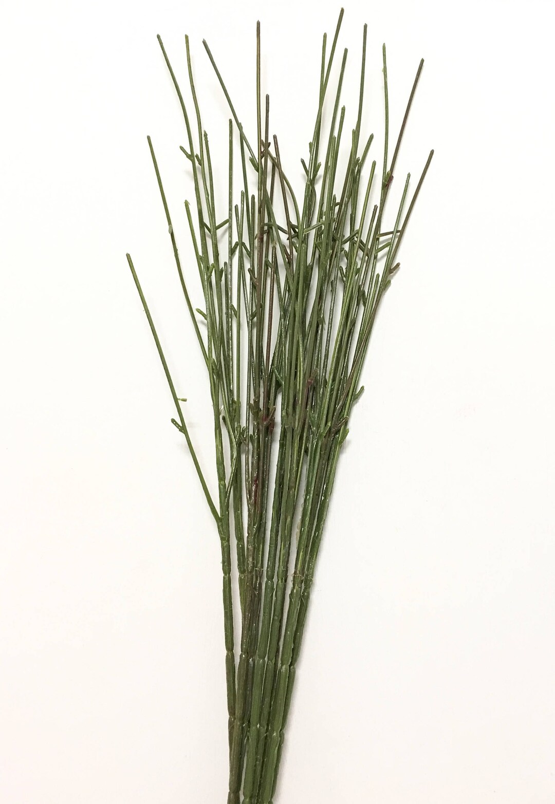 10 Artificial Flower Stems - Wedding Bouquets, Flower Arrangements, DIY ...