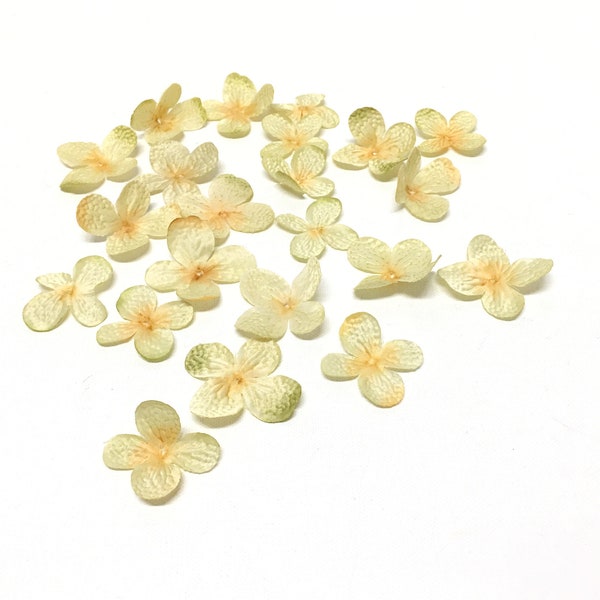 Yellow Hydrangea - Etsy