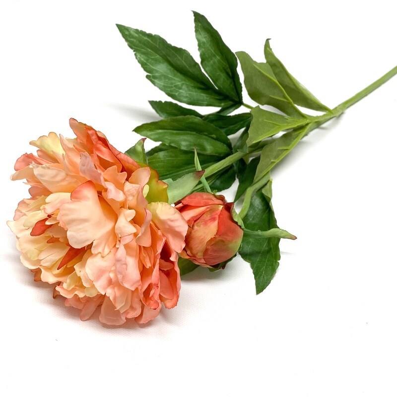 Peach Peony - Etsy