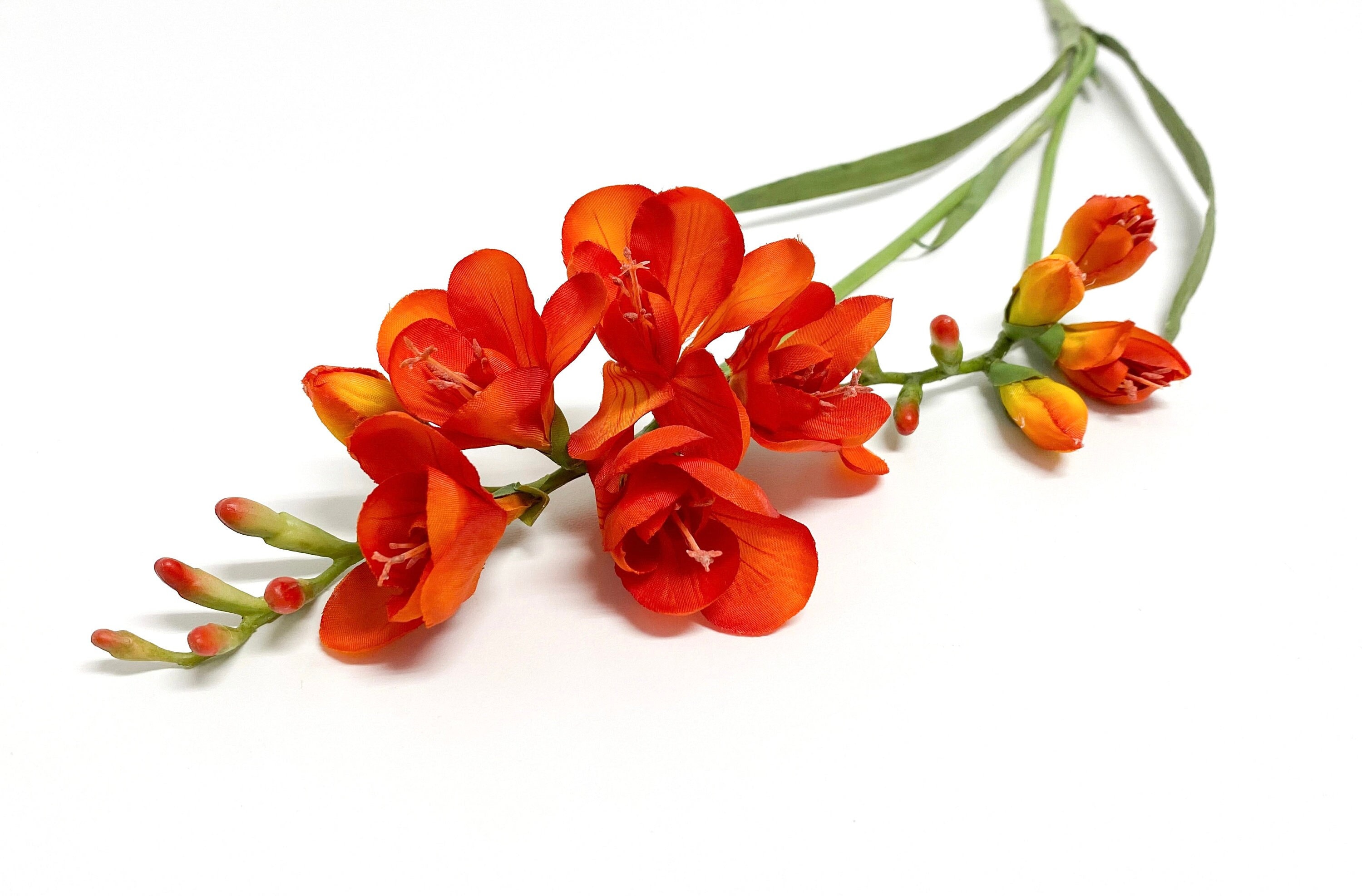 Orange Freesia Boutonniere