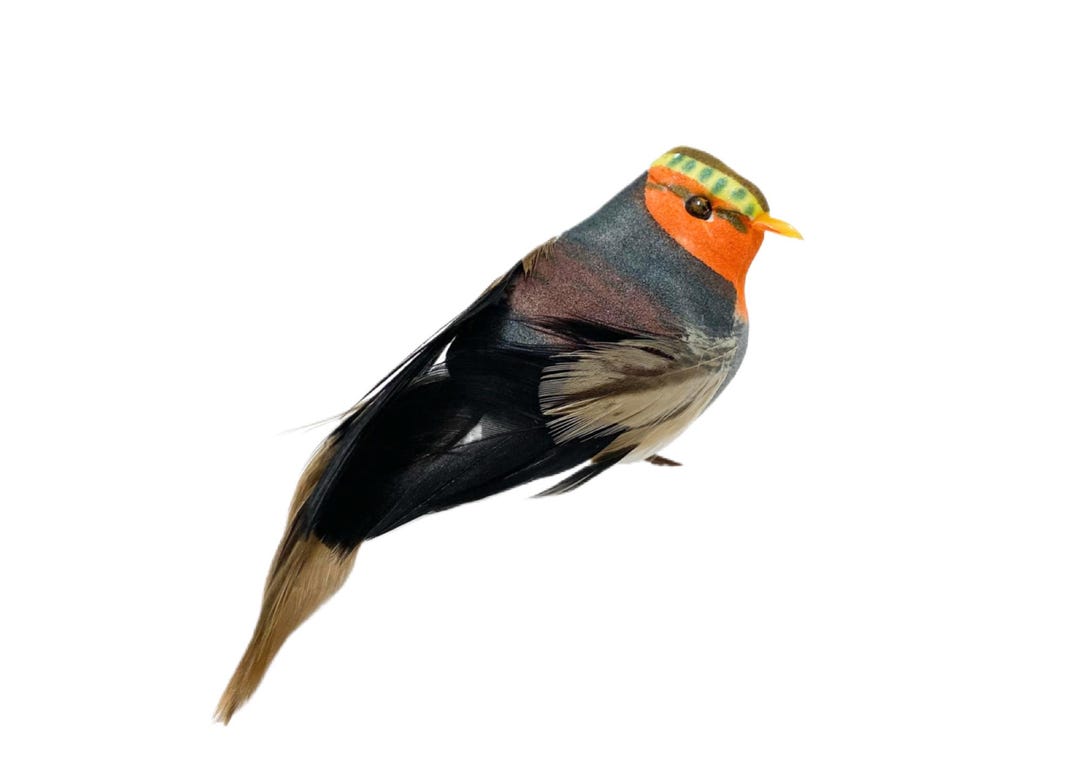 Artificial Partridge Bird on Wire - Craft Embellishment, Home Decor ...