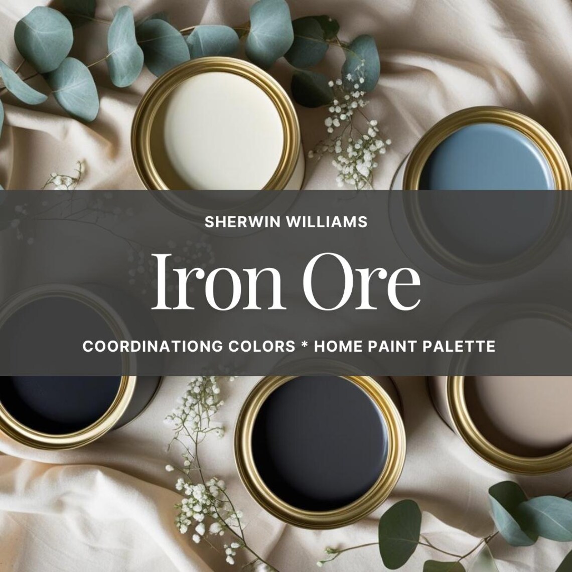 Sherwin Williams Iron Ore Paint Color Palette: Whole Home Interior ...
