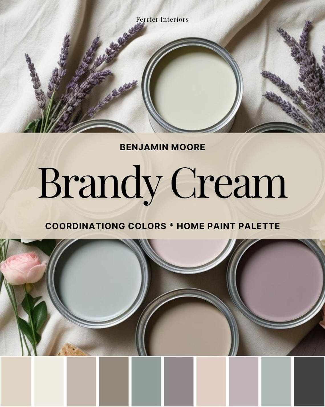Brandy Cream BENJAMIN MOORE Color Palette: Whole House Interior Paint ...
