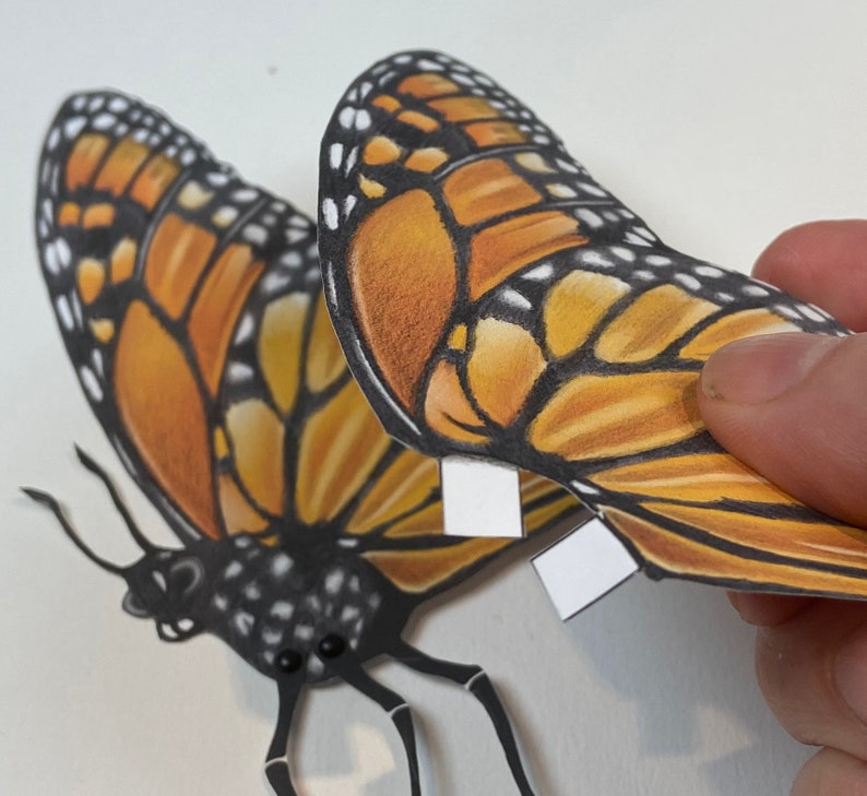 Monarch Butterfly DIY Kit - Etsy