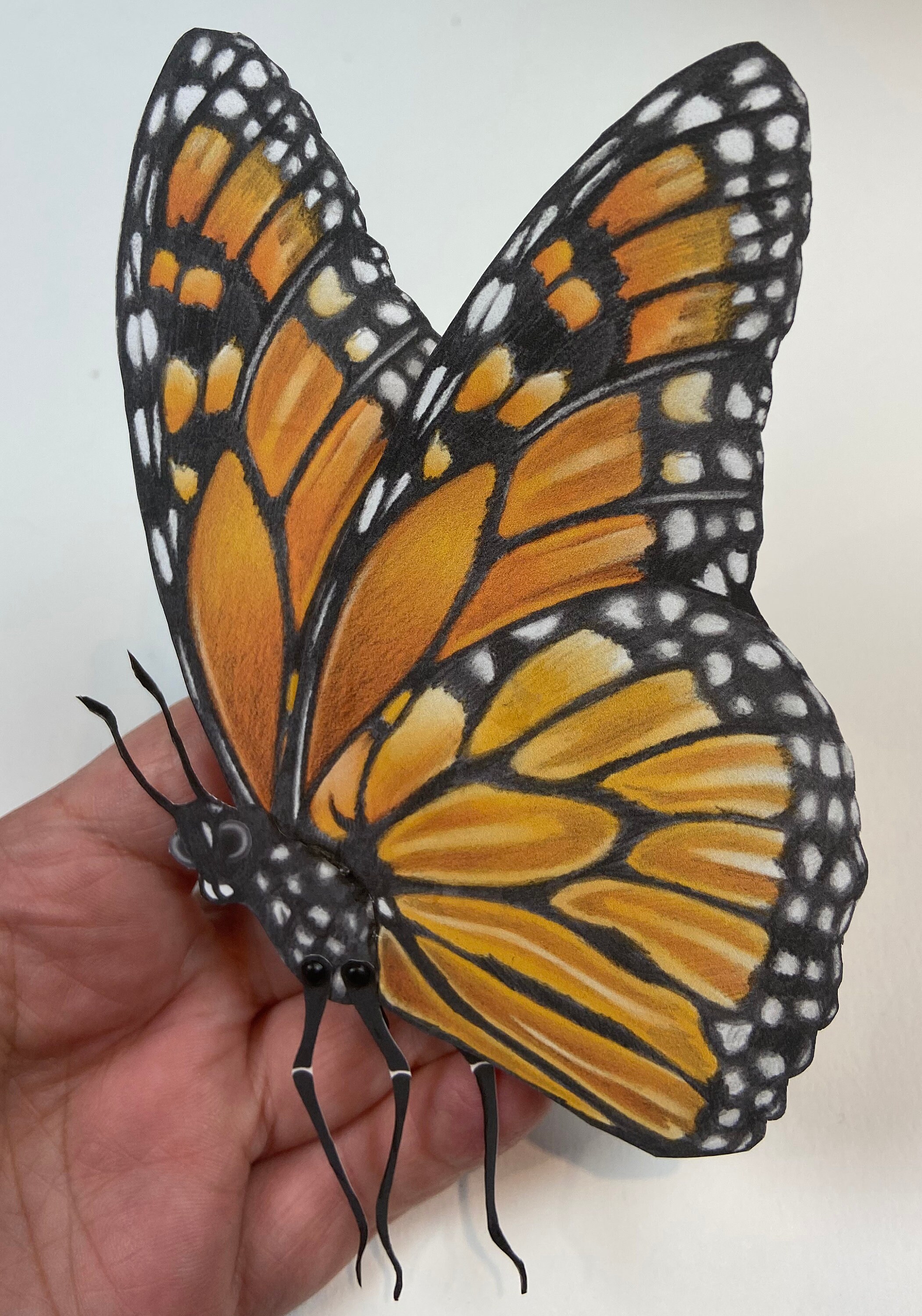 Monarch Butterfly DIY Kit - Etsy