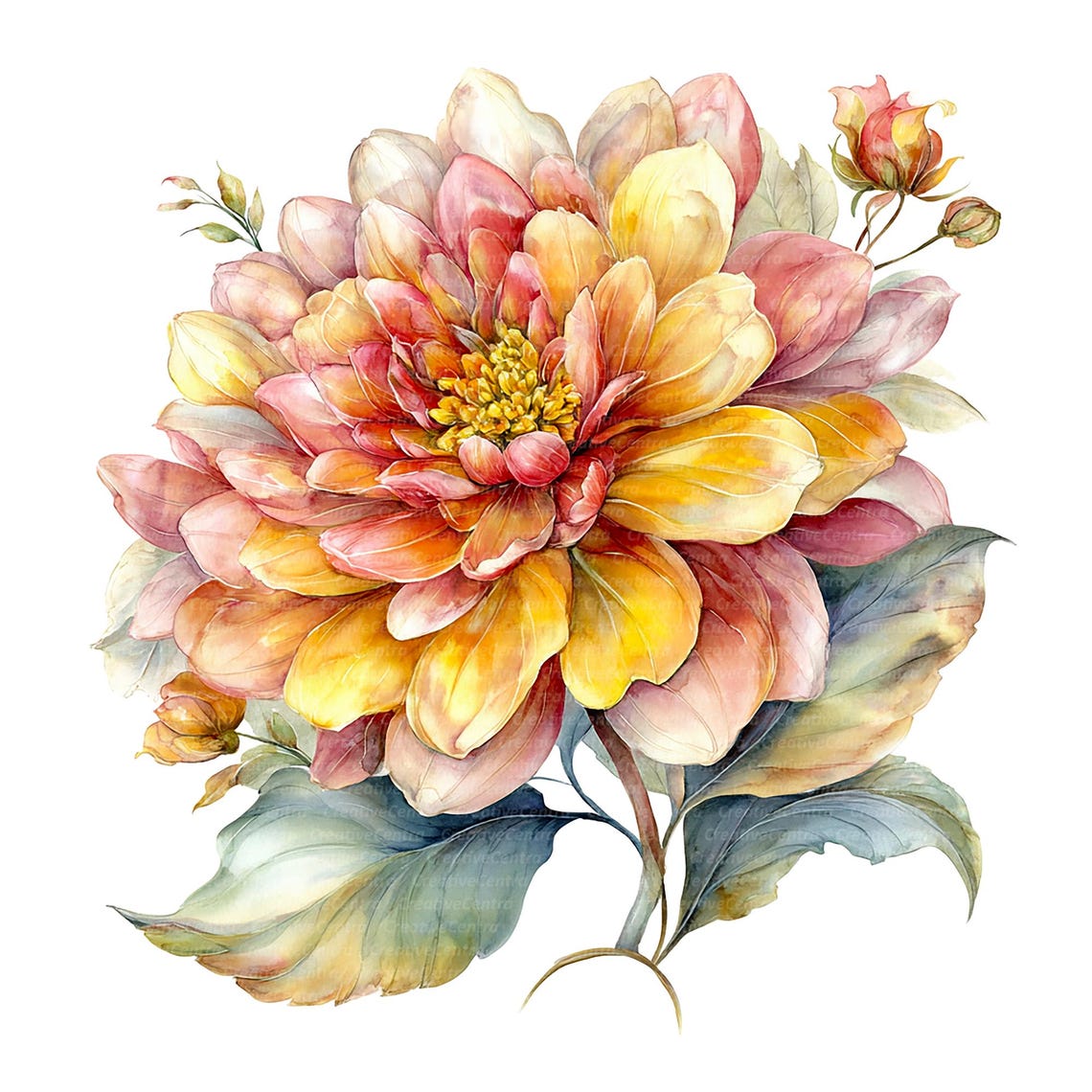 Watercolor Floral Clipart Set: Abstract Boho Flowers (digital Download ...