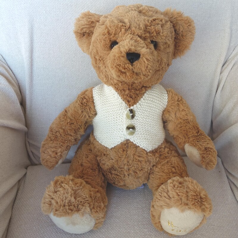 Teddy Bear Vest - Etsy
