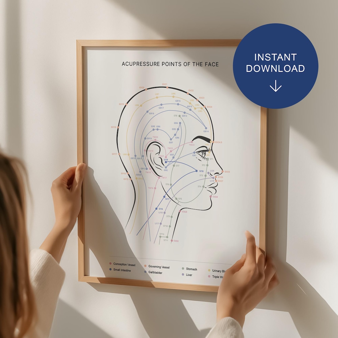 TCM Face Reflexology Poster (front and Side Views) • Acupressure Point ...