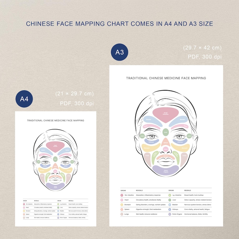 TCM Face Diagnosis Chart: Chinese Medicine Face Map (digital Download ...