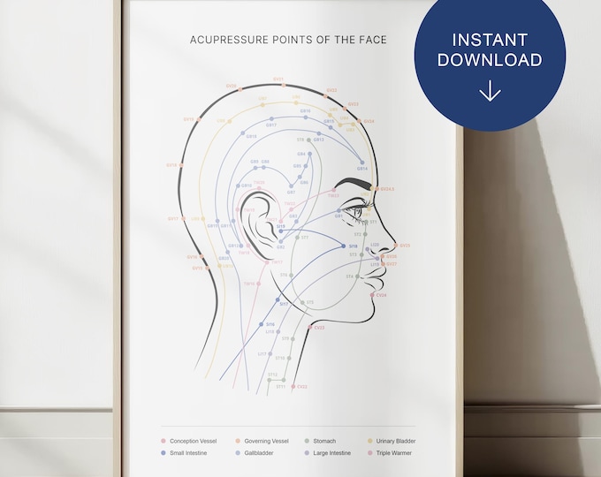 Ear Reflexology Guide and Chart - Etsy