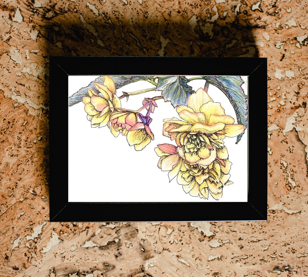 Begonia Digital Print - Downloadable Print - Botanical Print - Hand ...