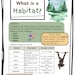 KS2 Living Things and Their Habitats Worksheets | Science Activities ...
