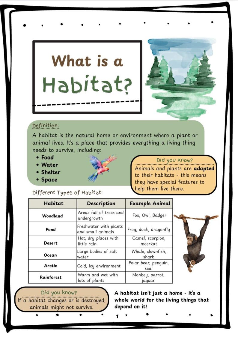 KS2 Living Things and Their Habitats Worksheets | Science Activities ...