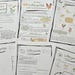 KS2 Life Cycles Worksheets | Plant & Animal Lifecycle Activities ...