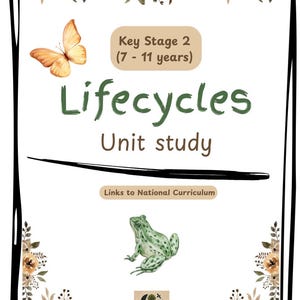 KS2 Life Cycles Worksheets | Plant & Animal Lifecycle Activities ...