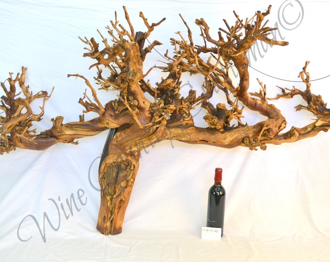 VINE ART Old Vine Grapevine Art Piece 100% Natural and Recycled VA-N-22 ...