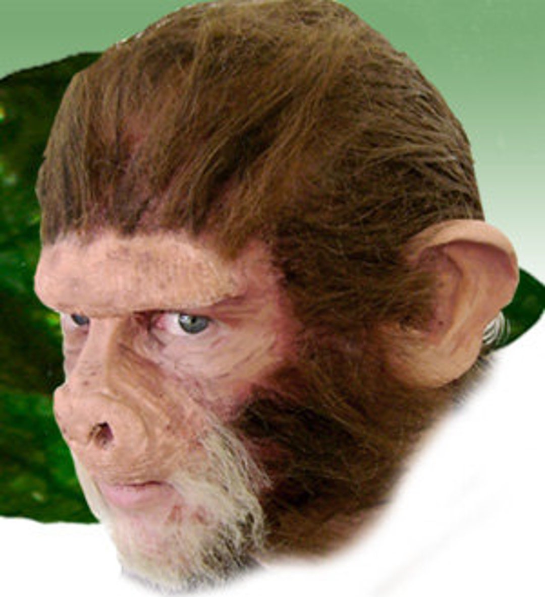 Chimp Ape Monkey Cosplay LARP Halloween Costume Latex Prosthetic Face ...