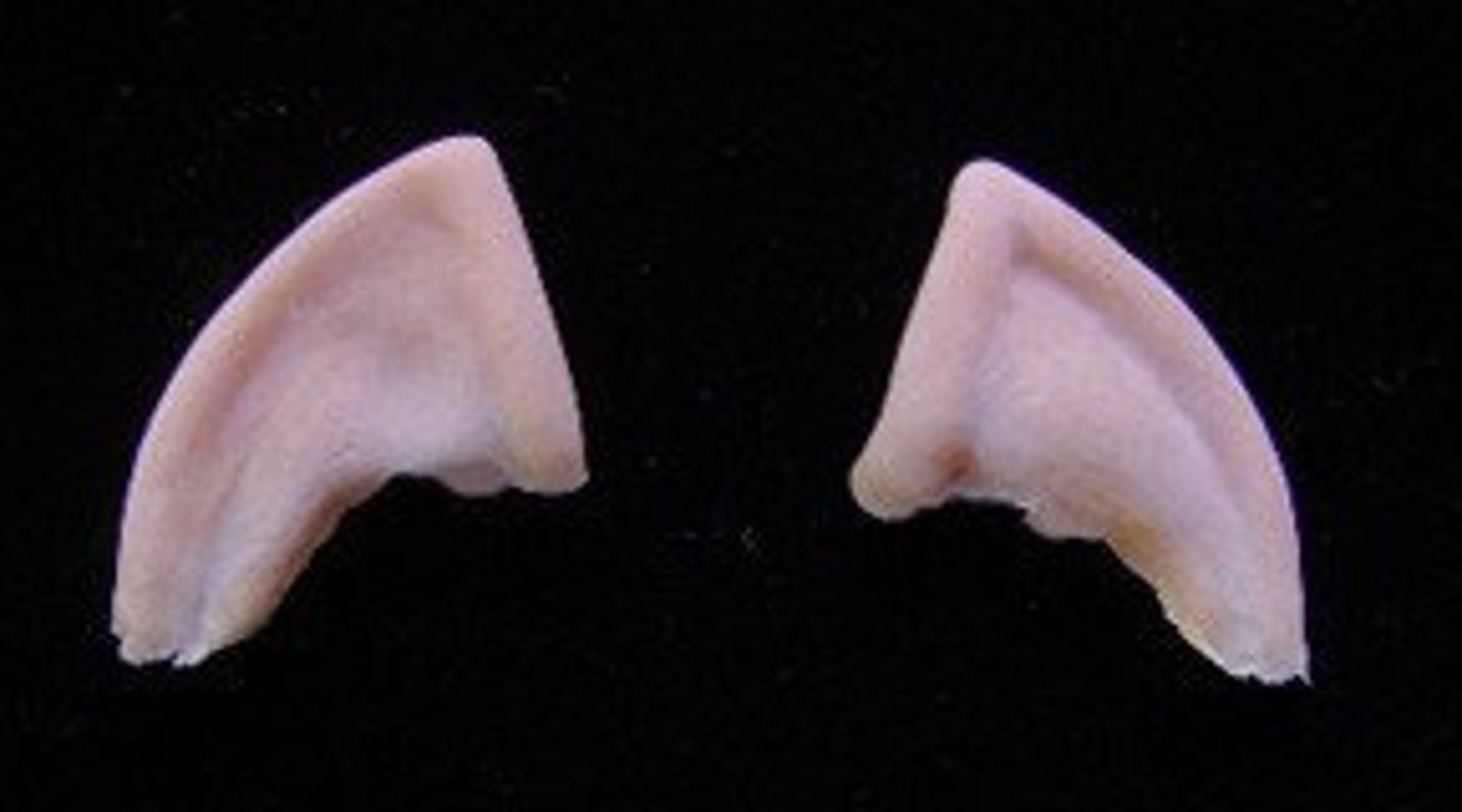 Elf Fairy Hobbit Vulcan Spock Cosplay LARP Halloween Latex Ear Tips ...