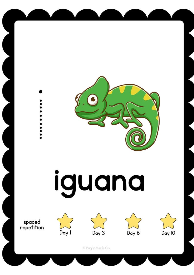 Short Vowel Sounds Phonics Pack – A4 & Mini Flashcards + Certificate ...